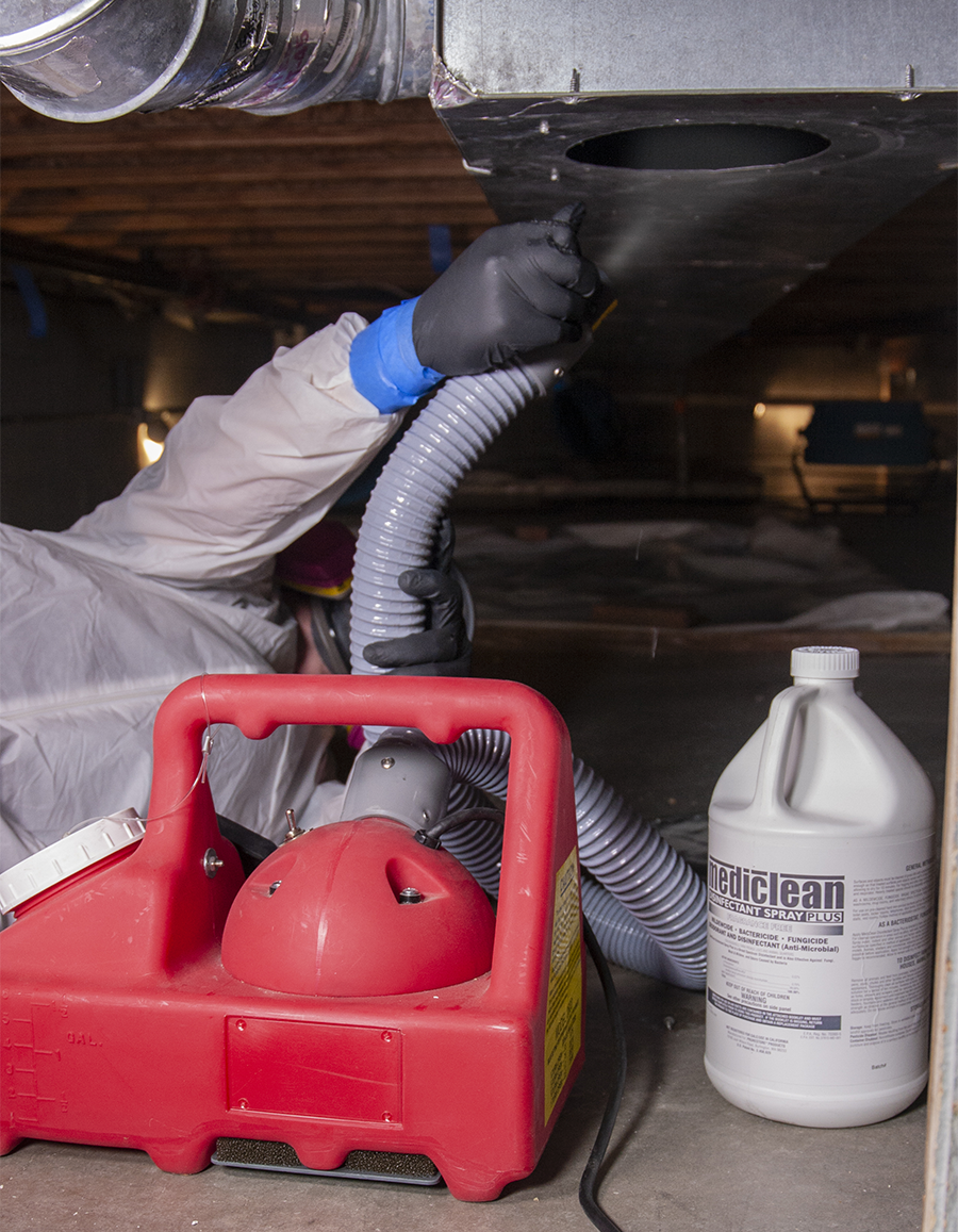 Legend Brands | Mediclean Disinfectant Spray Plus Fragrance Free